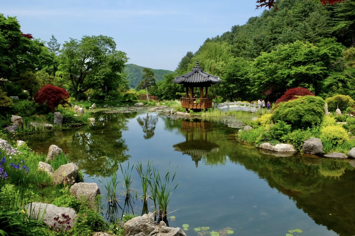Spring Festivals in South Korea » Chris Travels the World