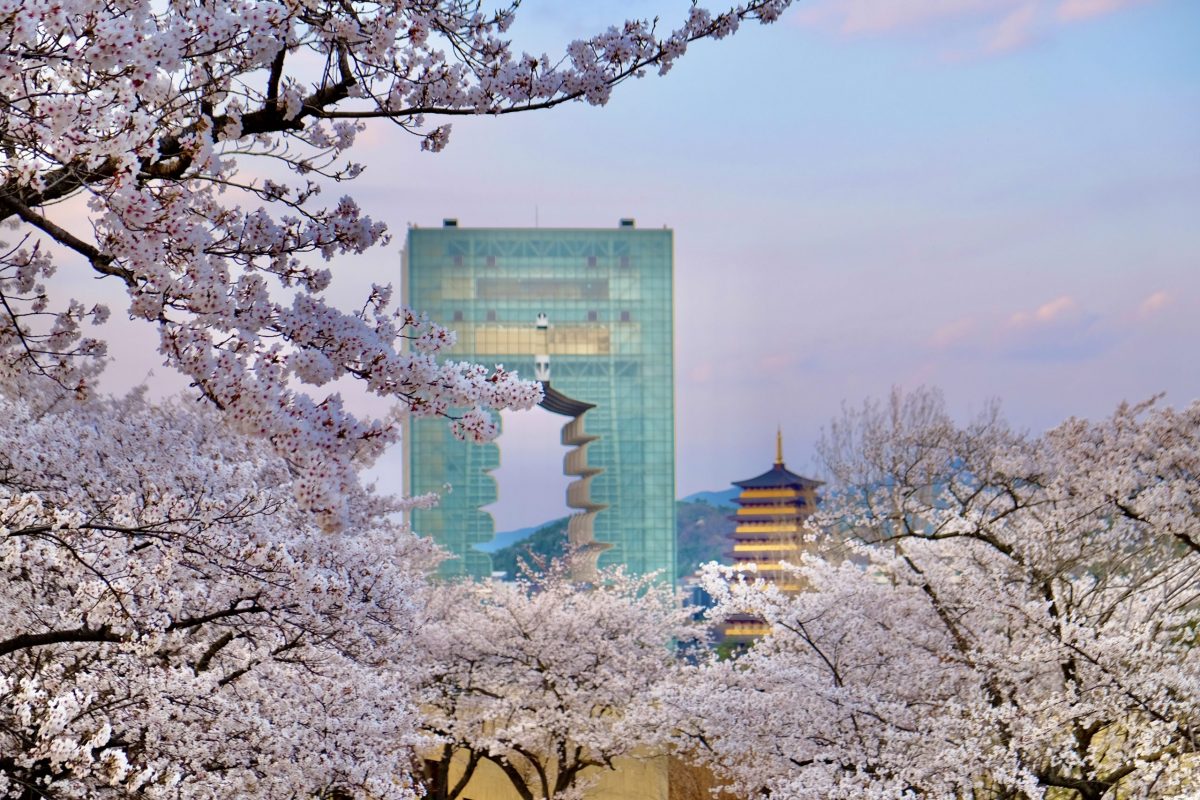 Spring Festivals in South Korea » Chris Travels the World