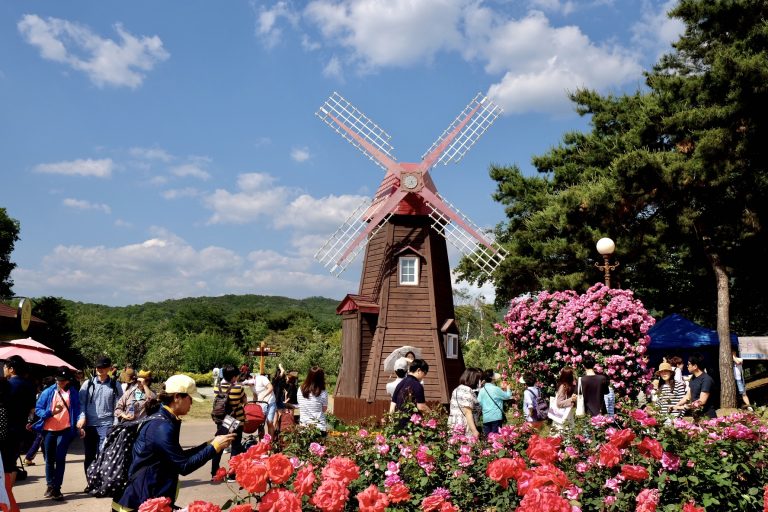 Spring Festivals in South Korea » Chris Travels the World