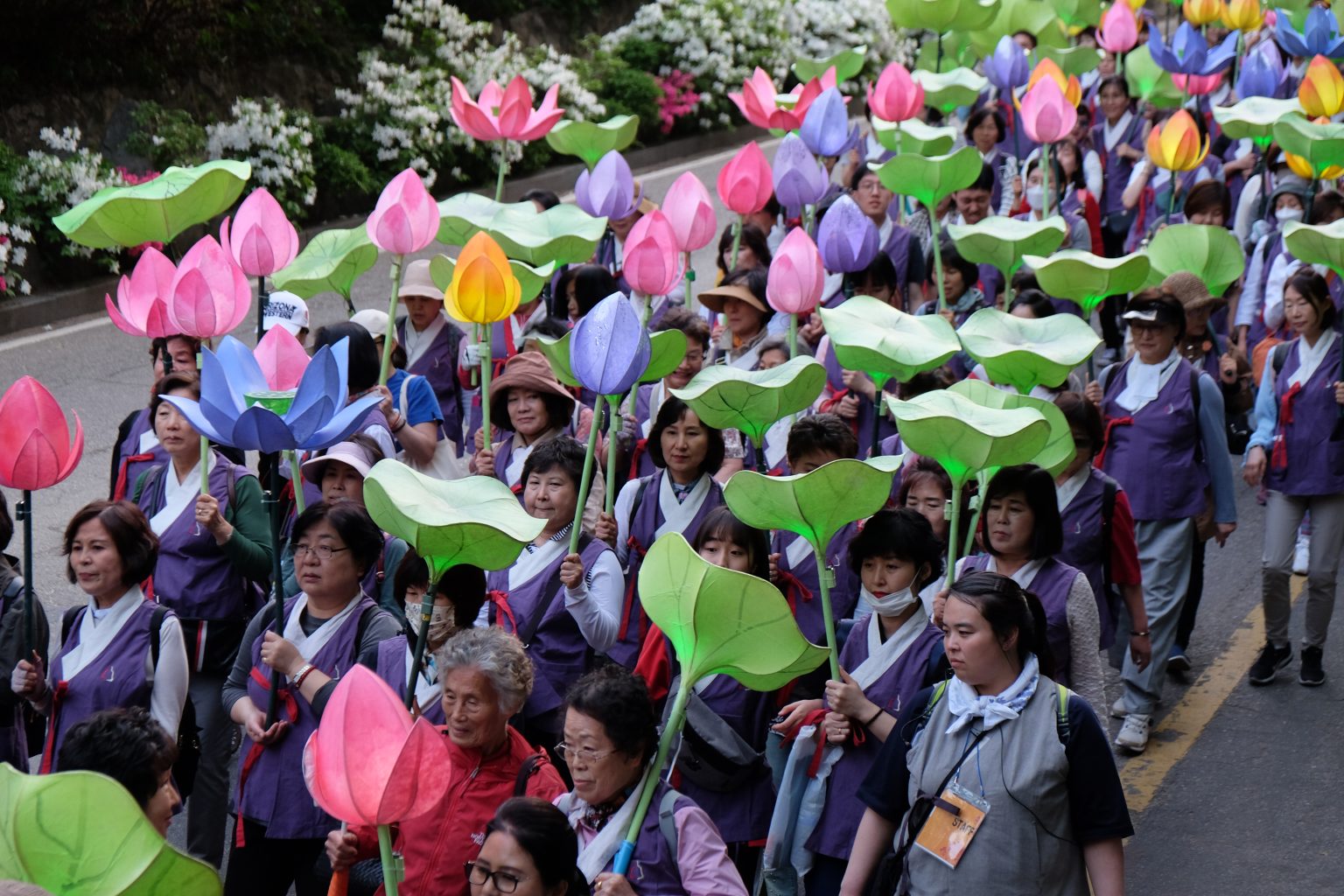 Spring Festivals in South Korea » Chris Travels the World