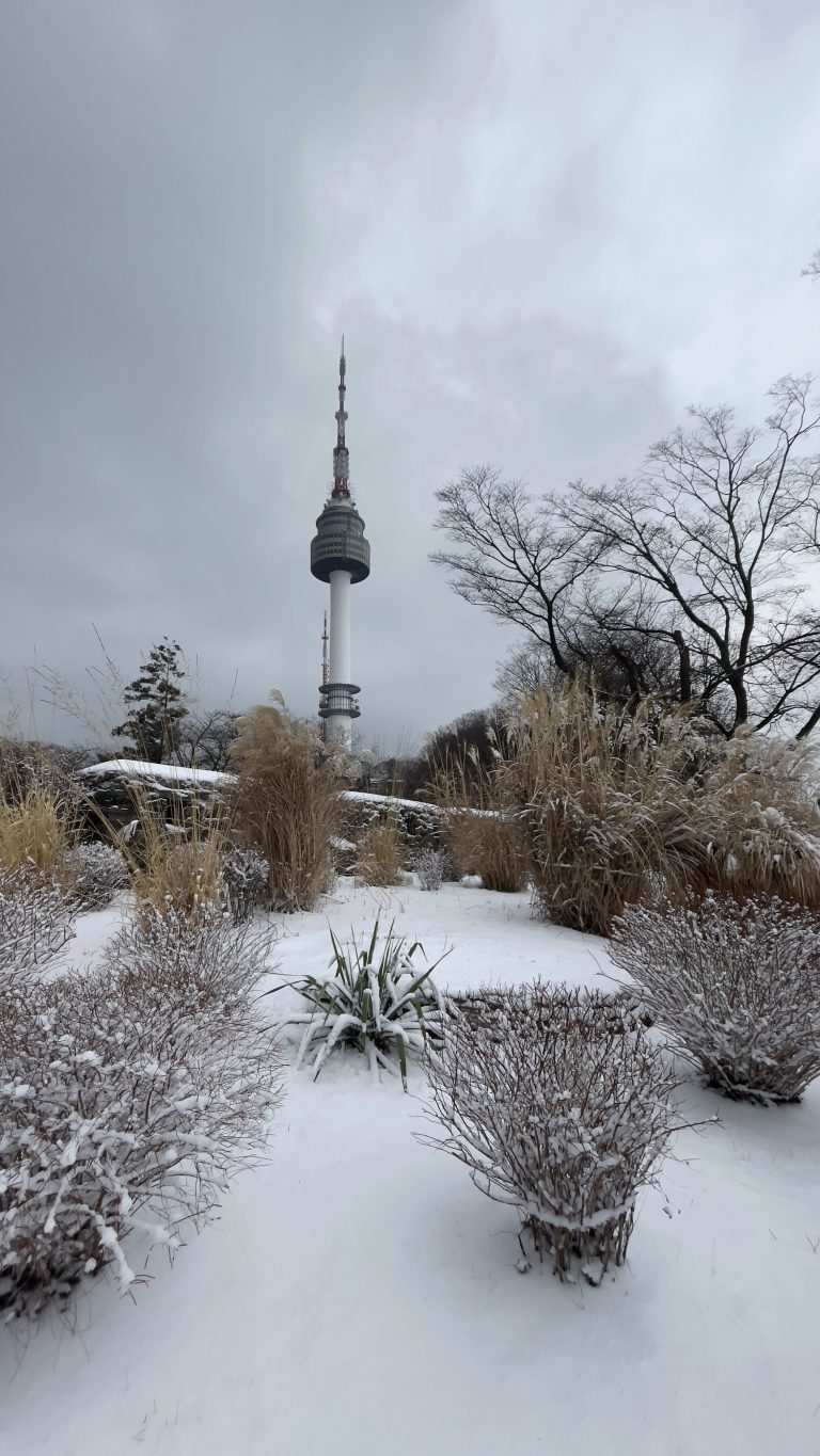Snowy Winter - Best Places to See the Snow in Seoul » Chris Travels the ...